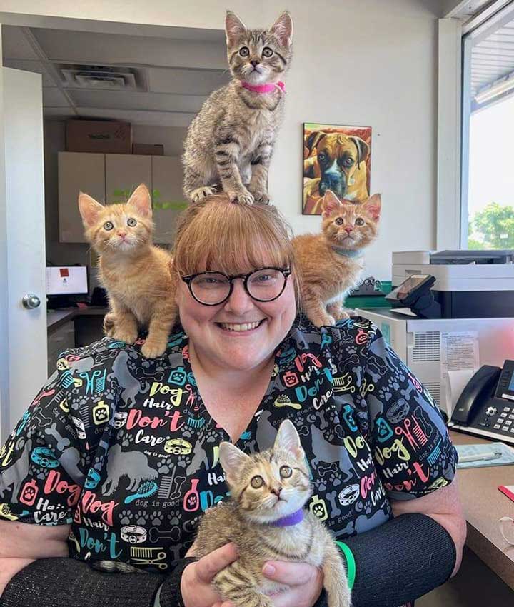 Meet the Team